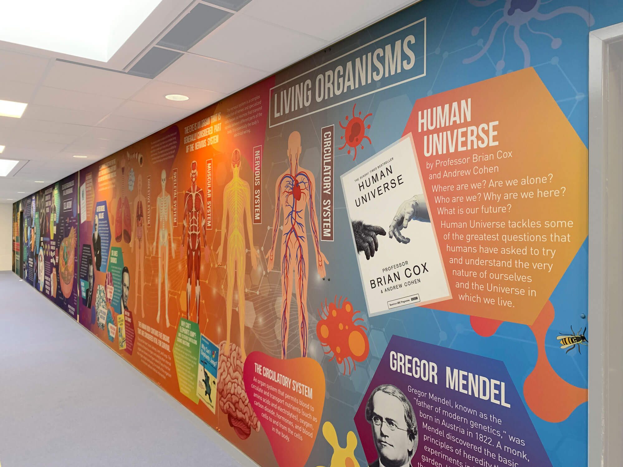 Summerhill School Curriculum Wall Art | Creative Corridors